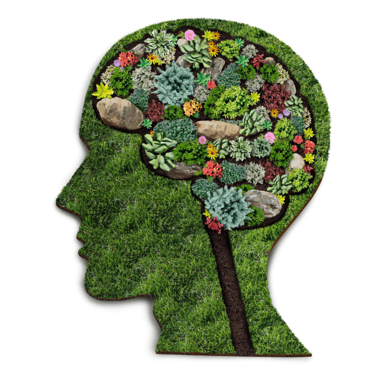 Mindfulness Activities for Students: Cultivating Focus & Well-Being