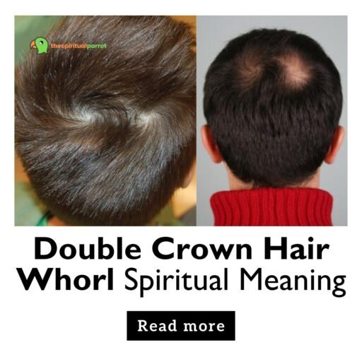 Double Crown Hair Whorl Spiritual Meaning: What Two Whorls Say About You